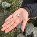 Vancouver: Stanley Park Salish Sea & Me - The Setting: Second Beach in Stanley Park