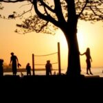 Vancouver: Sunset Trolley Tour - The Experience: What Travelers Can Expect