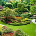 Vancouver to Victoria Seaplane Day Trip + Butchart Gardens visit - Free Time and Downtown Victoria