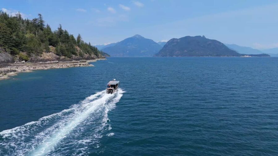 Vancouver UNESCO Biosphere Reserve Wildlife Scenic Boat Tour - Value and Pricing Analysis