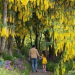 VanDusen Botanical Garden Admission Ticket - Who Will Love This Experience?