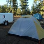 Vegas: Death Valley, Yosemite & San Francisco 4-Day Tour - Itinerary Breakdown: What You Can Expect Each Day