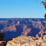 Vegas: Grand Canyon National Park South w/Lunch, Free WiFi - Practical Details and Tips