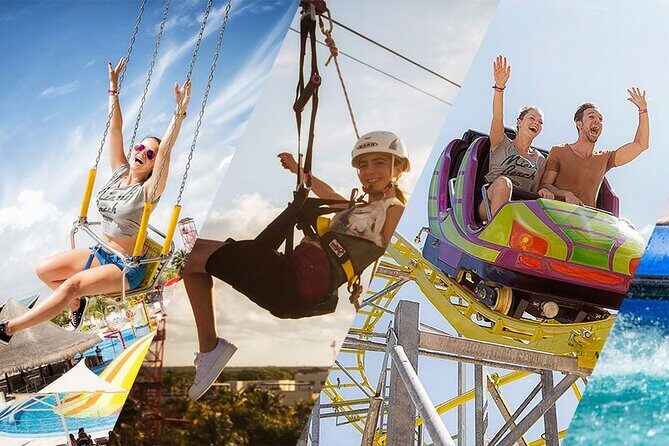 Ventura Dolphin - Evaluating the Value: Is Ventura Dolphin Worth It?