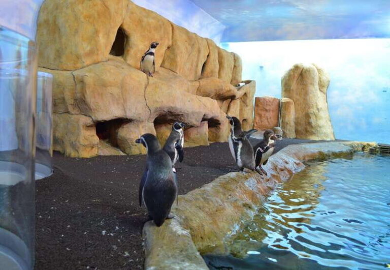 Veracruz: Panoramic Sightseeing City Tour and Aquarium - What We Love About This Tour