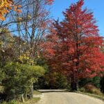 Vermont Wayfinders Fall Foliage Private Tour - The Overall Experience