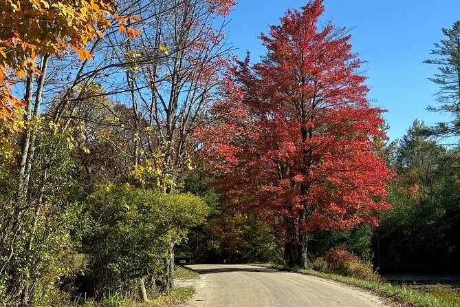 Vermont Wayfinders Fall Foliage Private Tour - The Overall Experience