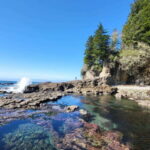 Victoria: 4-Day Tofino and Port Renfrew Tour with Flights - Whats Included & What to Consider