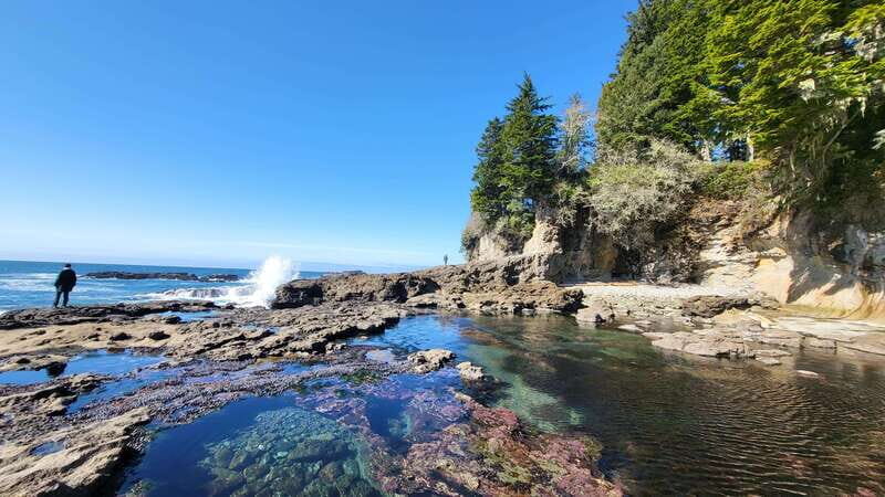 Victoria: 4-Day Tofino and Port Renfrew Tour with Flights - Whats Included & What to Consider