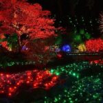 Victoria and Butchart Gardens Christmas Tour - The Experience in Action: What Travelers Say