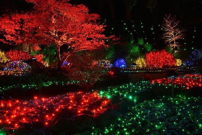 Victoria and Butchart Gardens Christmas Tour - The Experience in Action: What Travelers Say