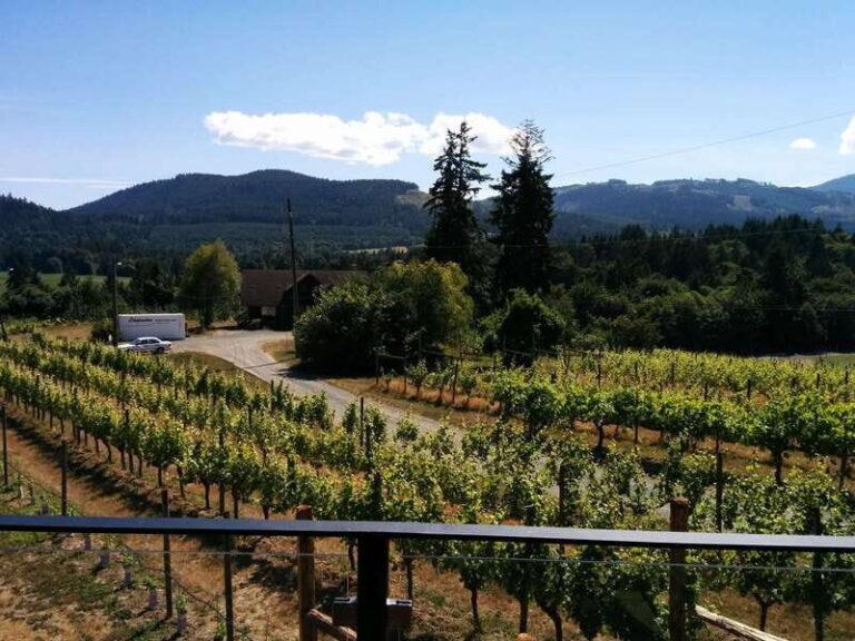 Victoria, BC: Food & Wine Tour to the Cowichan Valley - Who Should Consider This Tour?