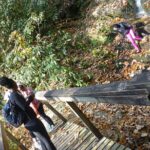 Victoria Bryant State Park Hike with Wine Tasting - The Sum Up