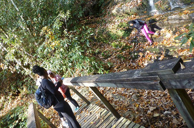 Victoria Bryant State Park Hike with Wine Tasting - The Sum Up