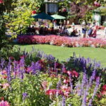 Victoria & Butchard Gardens Private Tour from Vancouver - Transportation and Comfort