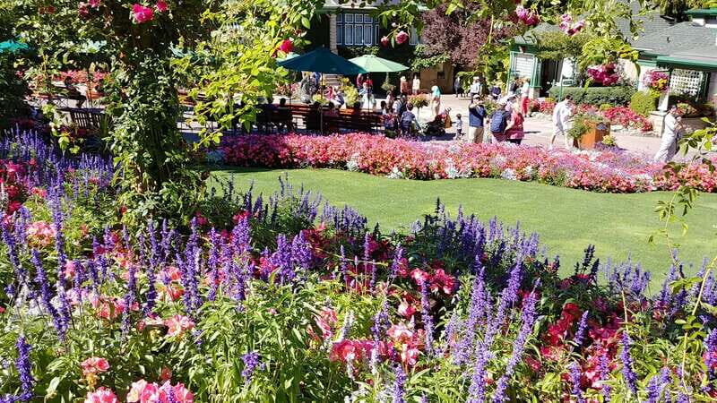 Victoria & Butchard Gardens Private Tour from Vancouver - Transportation and Comfort