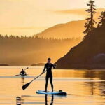 Victoria: Paddle Board Tour at Willows Beach - Value and Practicalities