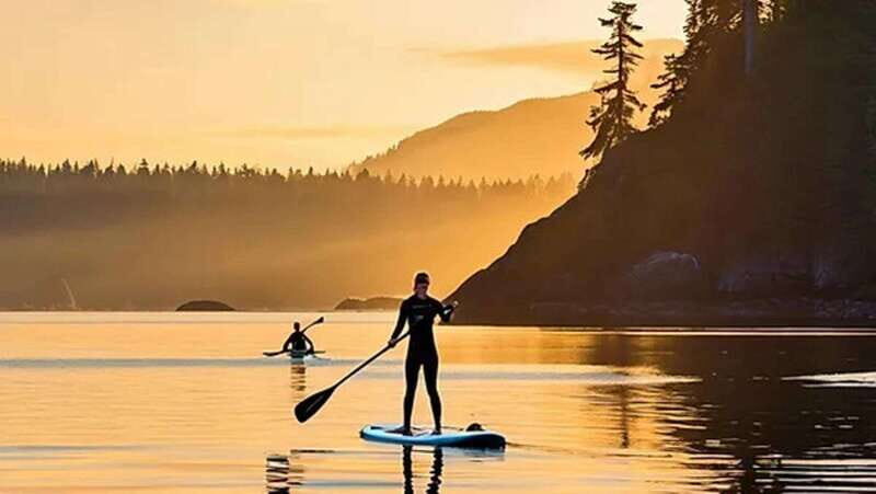 Victoria: Paddle Board Tour at Willows Beach - Value and Practicalities