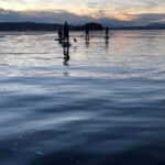 Victoria: Secret Beaches and Islands SUP Tour - Detailed Breakdown of the Tour