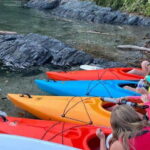 Victoria: Single Sea Kayak Rental - Exploring Victoria’s Waters — What to Expect from This Kayaking Experience