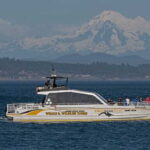 Victoria: Sunset Whale Watching Tour on Semi-Covered Boat - An In-Depth Look at the Sunset Whale Watching Tour