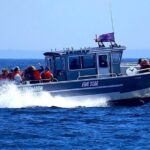 Victoria Ultimate Marine Whale & Wildlife Tour - Practical Details and Tips
