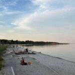 Victoria: Upper Gorge Waterway Paddle Boarding Tour - The Sum Up