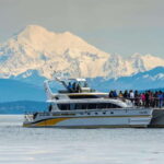 Victoria: Whale and Wildlife Semi-Covered Boating Tour - What Makes This Tour Stand Out