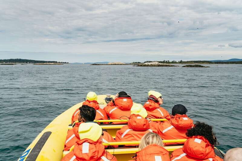 Victoria: Whale Watching Adventure in a Zodiac Boat - The Value of the Tour: Price and Experience
