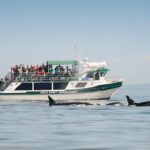 Victoria Whale Watching Tour on a Covered Vessel - Key Points