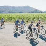 Vine Trail Discovery E-Bike Tour - Practical Considerations