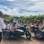 Vineyard Rides San Luis Obispo Sidecar Wine Adventure - Who Should Consider This Tour?
