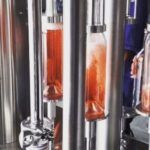 Vineyard, tour, tasting and fun in San Miguel de Allende - What’s Included and What to Consider