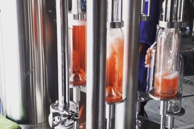 Vineyard, tour, tasting and fun in San Miguel de Allende - What’s Included and What to Consider