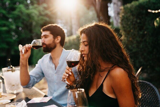 Vino Voyage Niagara Wine Country Bus Tour - A Deep Dive Into the Experience