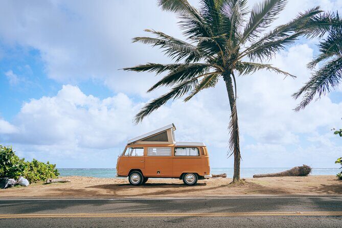 Vintage VW Turtle Tour on the North Shore - Practicalities and What You Should Know