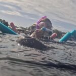 VIP Guided Swim with Manatee Tour Crystal River FL Free Photos - The Value of This Experience