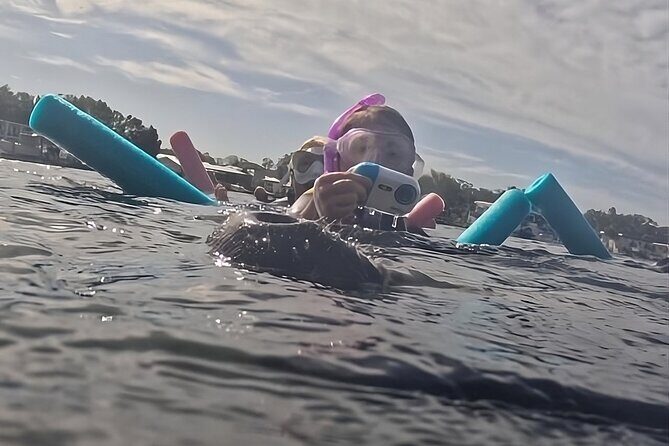 VIP Guided Swim with Manatee Tour Crystal River FL Free Photos - The Value of This Experience