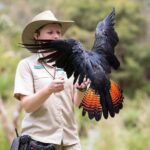 VIP Sanctuary Tour at Healesville Sanctuary - excl. entry - Exploring the Itinerary in Detail