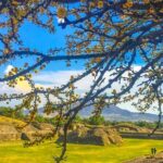 VIP Teotihuacan & Guadalupe Shrine Tour: A Journey Through Time - Why This Tour Stands Out