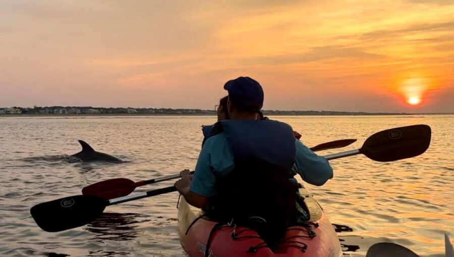 Virginia Beach: Dolphin Kayak Tour: This is a Workout! - The Details You Need to Know