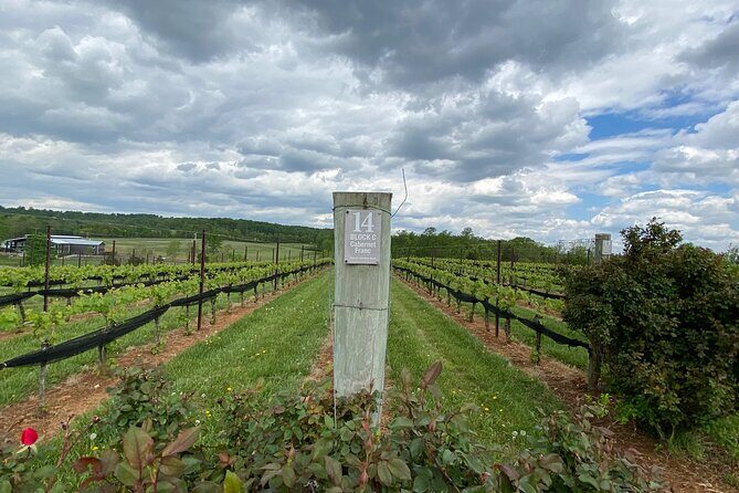 Virginia Wineries Tour - Value and Overall Impression