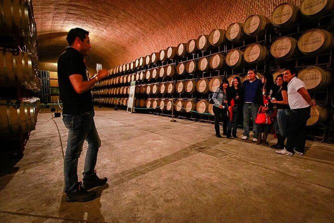 Visit 1 Cheese Factory and 2 Vineyards, starting from Querétaro - Why This Tour Is Worth Considering