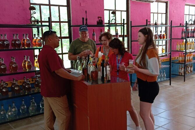 Visit the ancient Mayan ruins and the best beaches in Cozumel - Transportation, Duration, and Practicalities