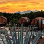 Visit to Matices Hotel de Barricas in Tequila Jalisco - Day 2: Diving into Tequila Production