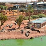 Visite the Crocodiles Park and Botanic garden - Why This Tour Could Be Perfect for You