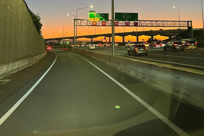 Wai-O-Tapu and Te Puia Day Trip Transport from Auckland - The Experience from Real Travelers’ Perspectives