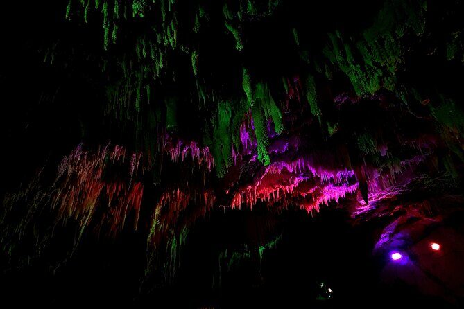 Wai O Tapu Secret spot Hot Tubs and Waitomo Glowworm Caves Tour - The Sum Up