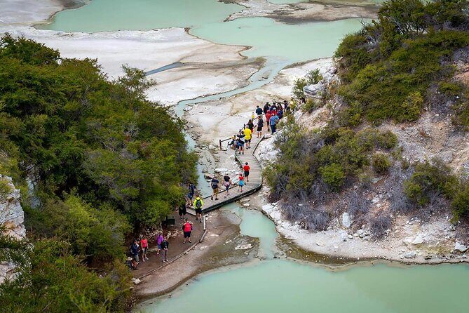 Wai-O-Tapu & Wai Ariki Hot Springs Small Group Tour in Auckland - The Healing Power of Wai Ariki Hot Springs & Spa