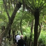Waiheke Island: 5-Day Self-Guided Te Ara Hura Walk - Final Thoughts: Is It Worth It?